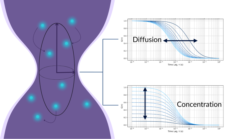 Fluorescence Correlation Spectroscopy | Exciting Instruments